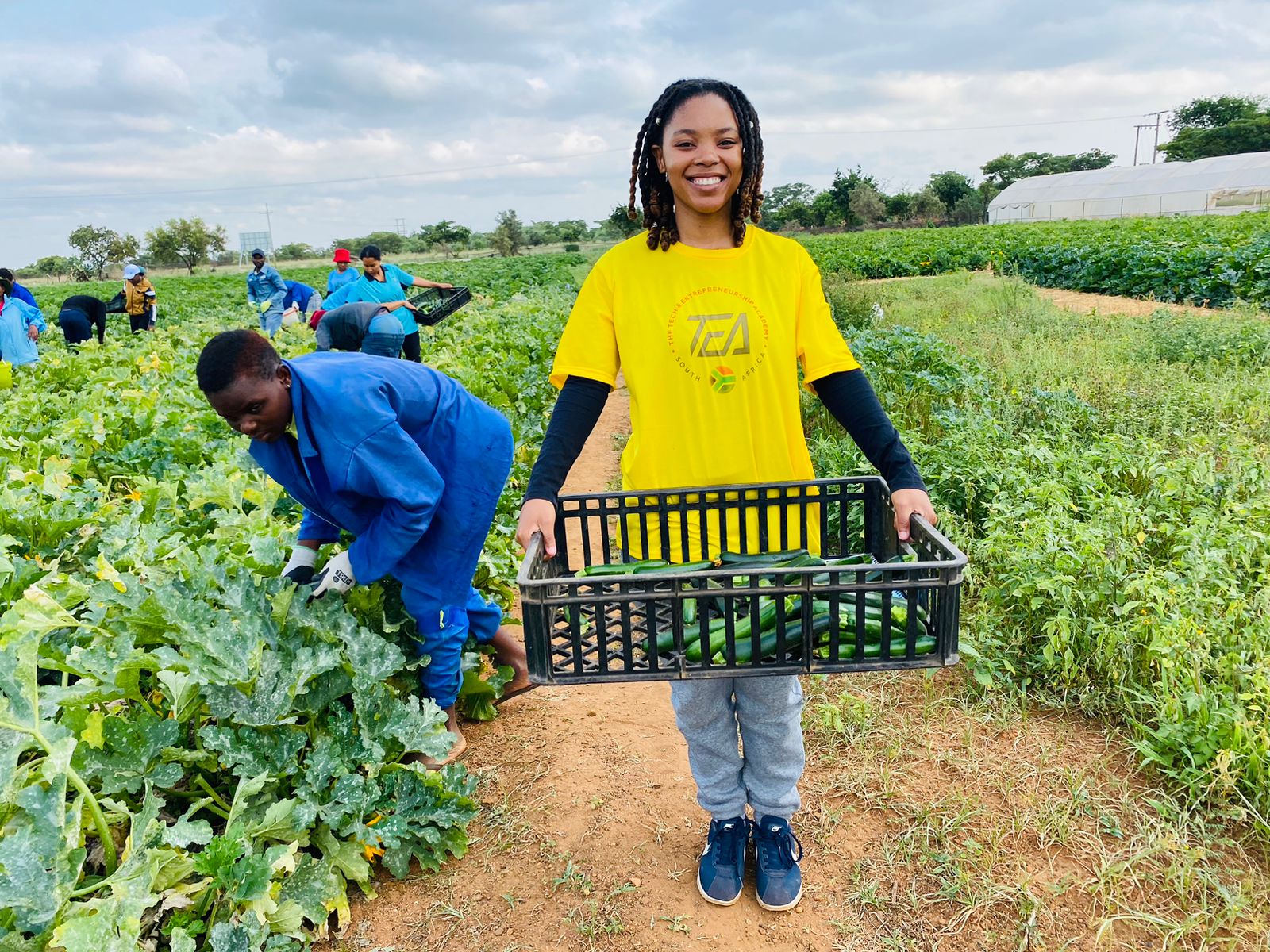 The Farm | Bee Tree Farm