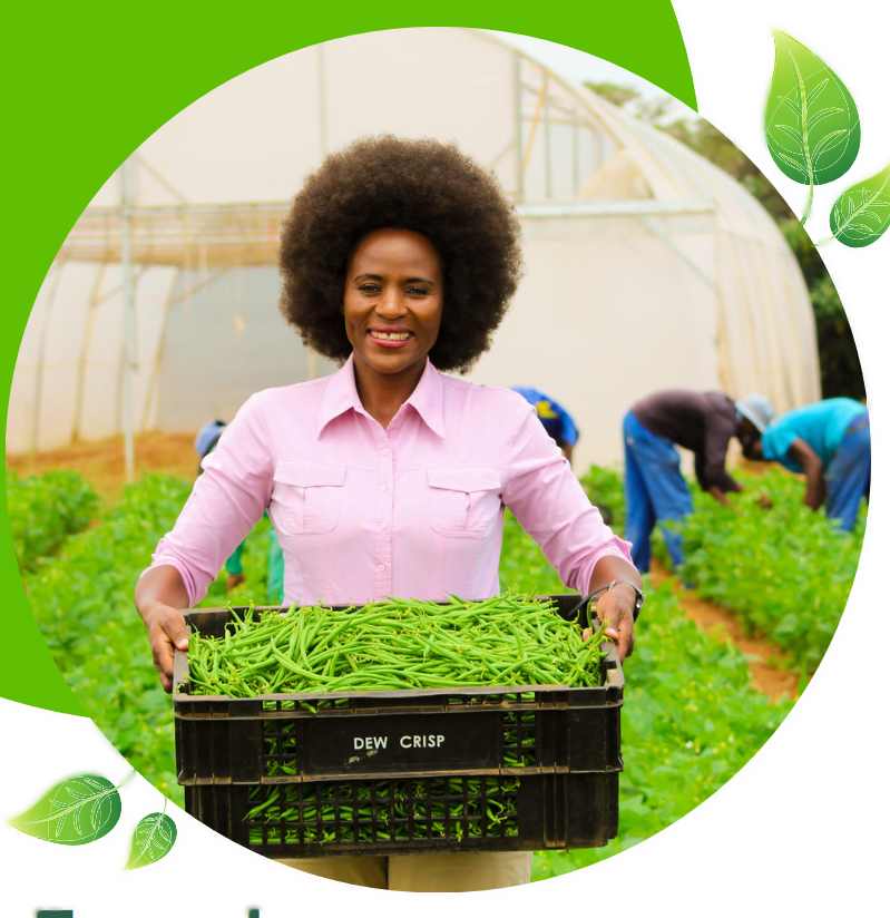 Home | Bee Tree Farm