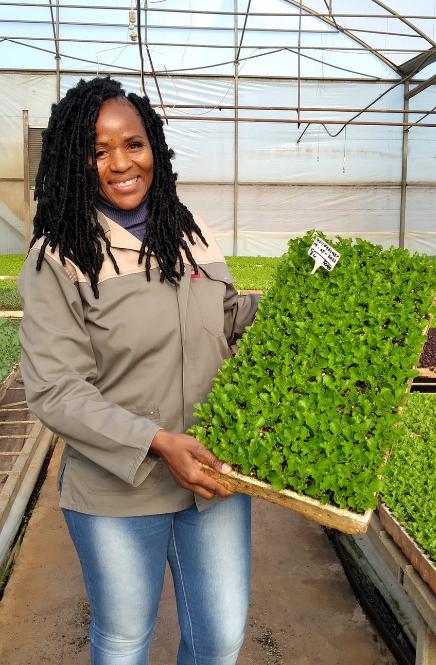 Home | Bee Tree Farm