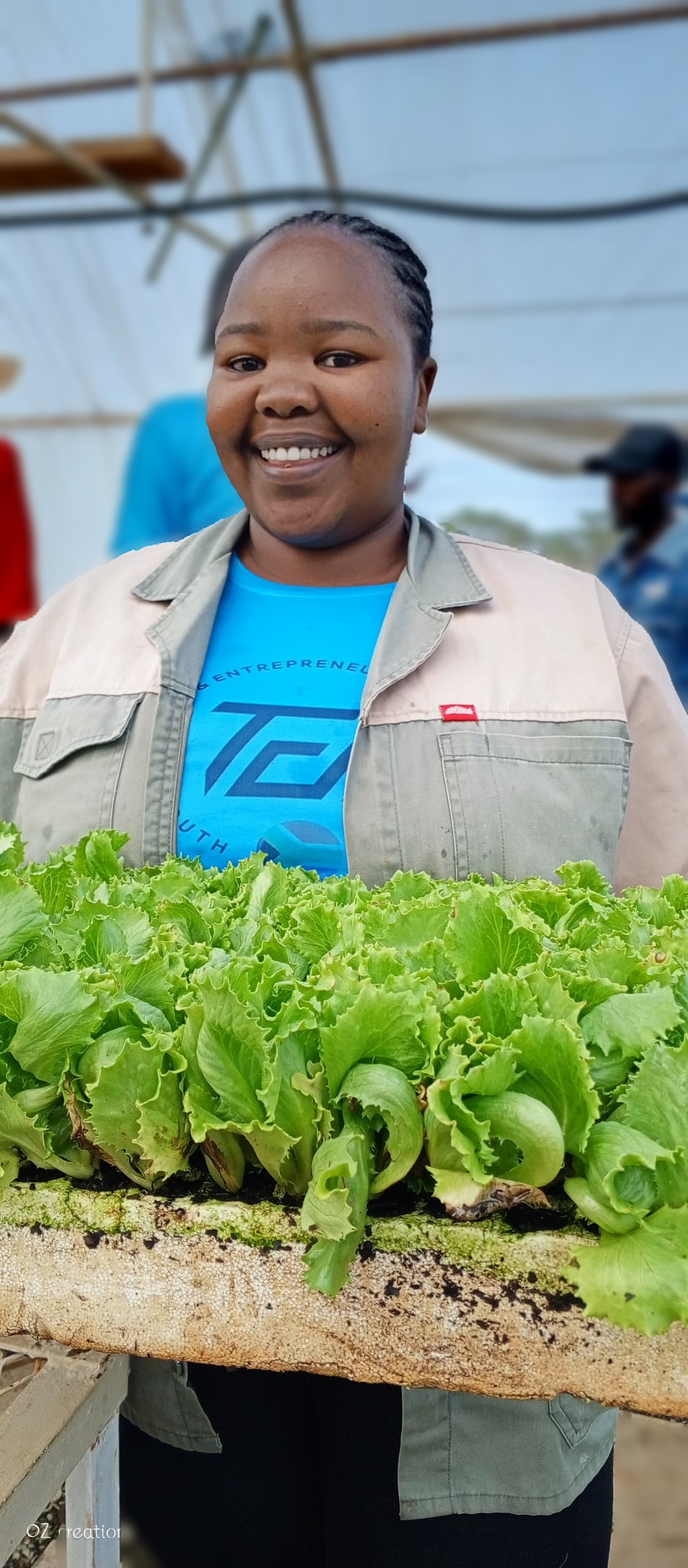 The Farm | Bee Tree Farm